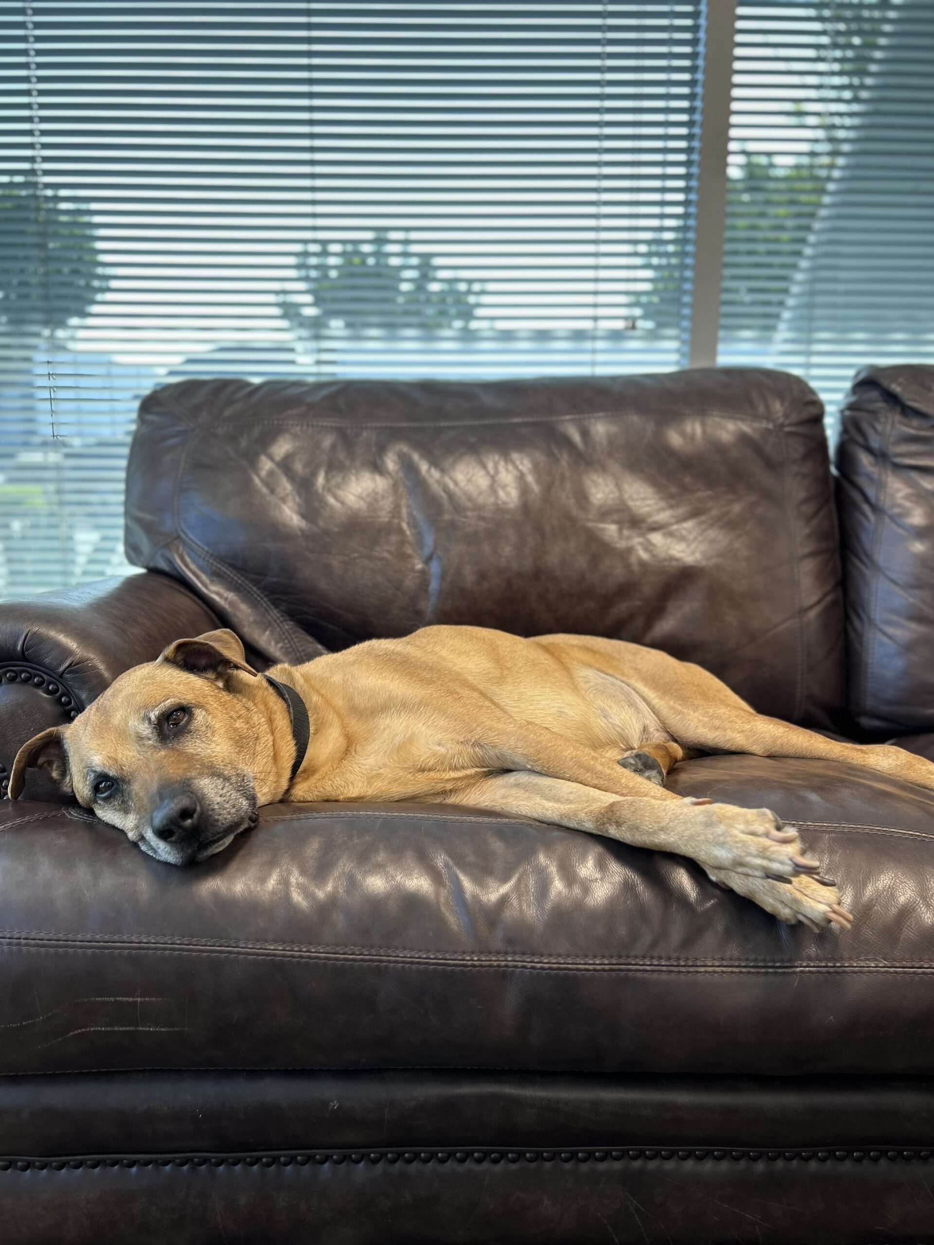 About Us - Outdoor Gym Equipment