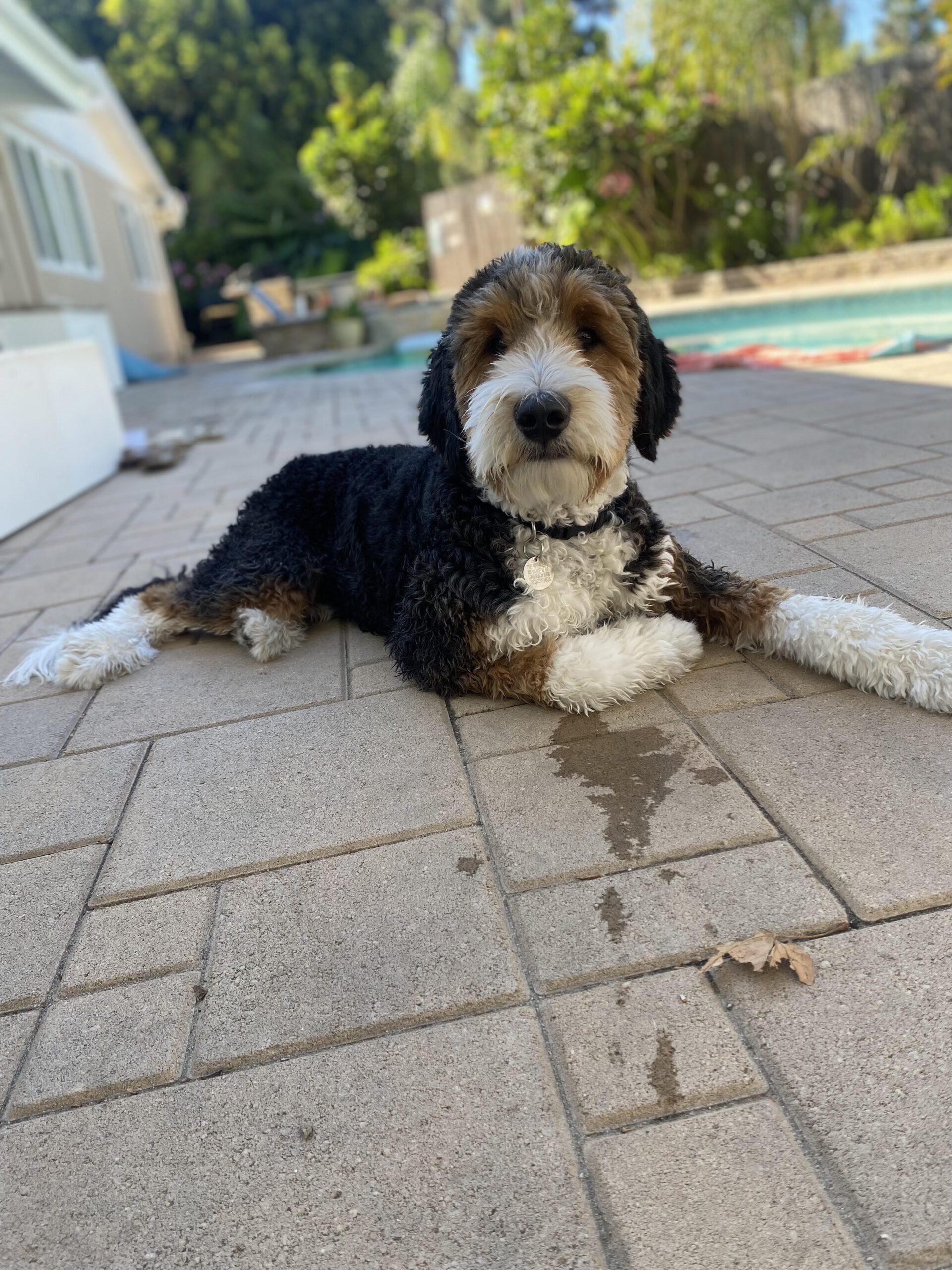 About Us - Outdoor Gym Equipment